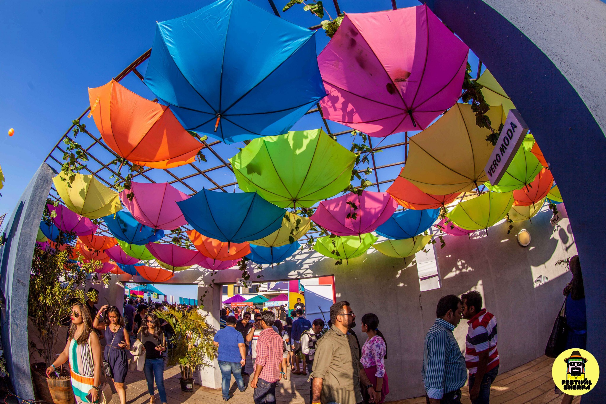 The Sherp's Top Stories Of The Week - Sherpa Land