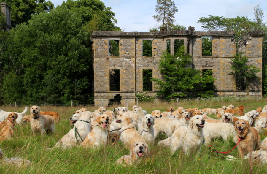 8 Amazing Festivals That Celebrate Animals In The Most Positive Ways ...