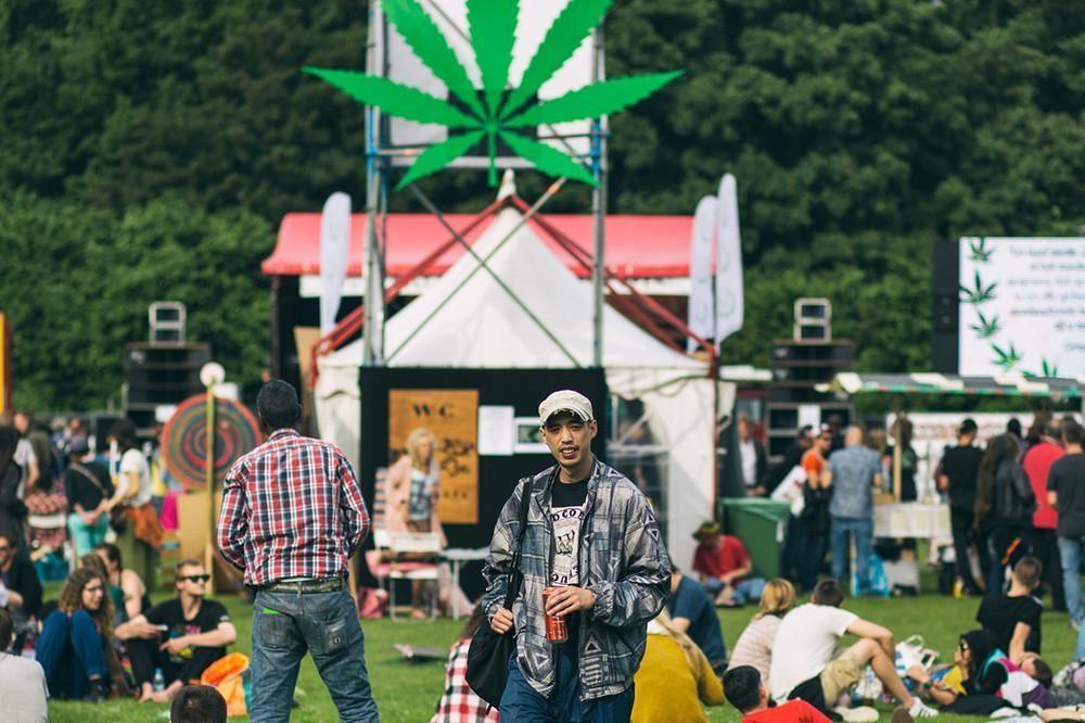 The Netherlands Just Celebrated Its Annual Weed Festival, Cannabis ...